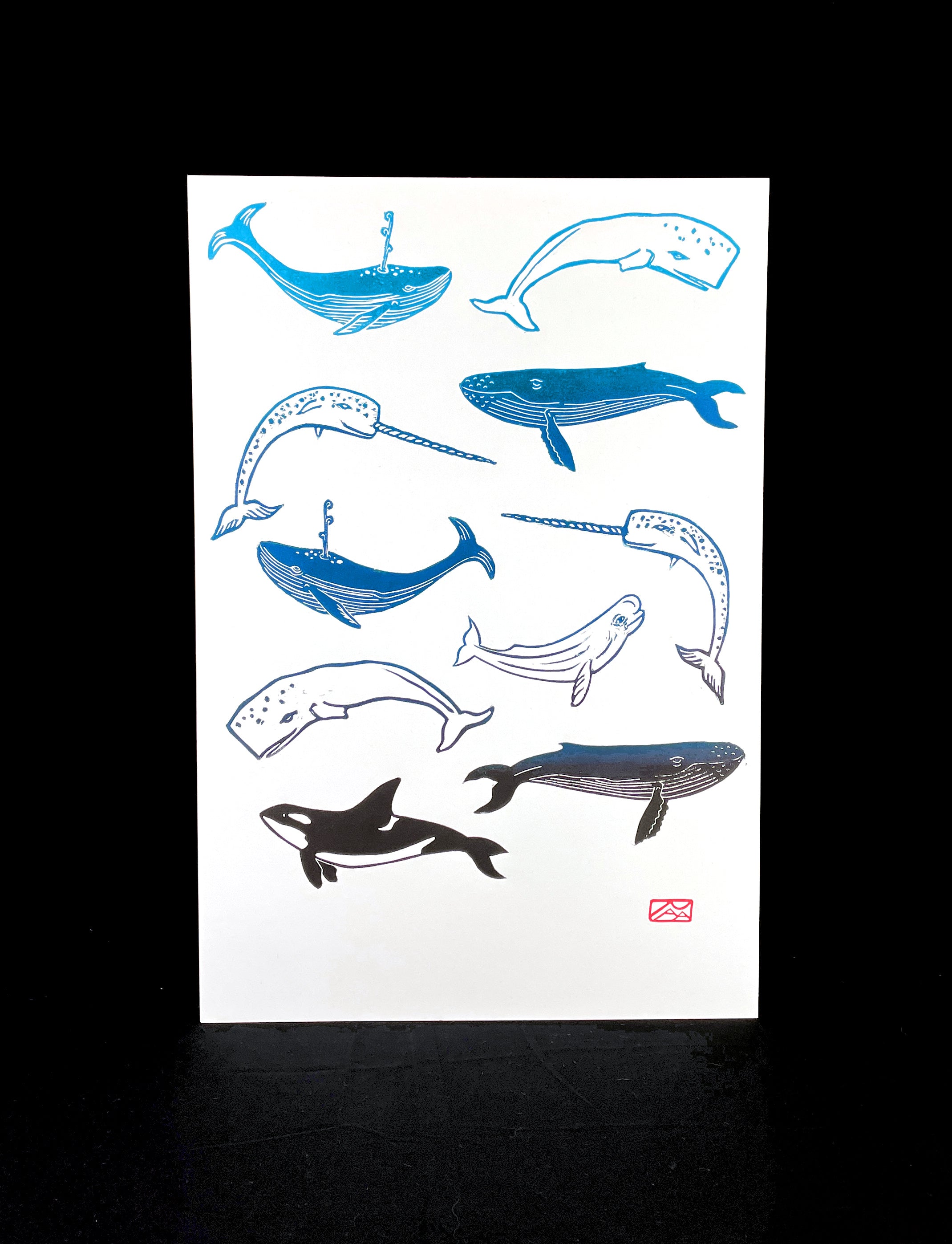 Whales Whales Whales – White Moth Lodge